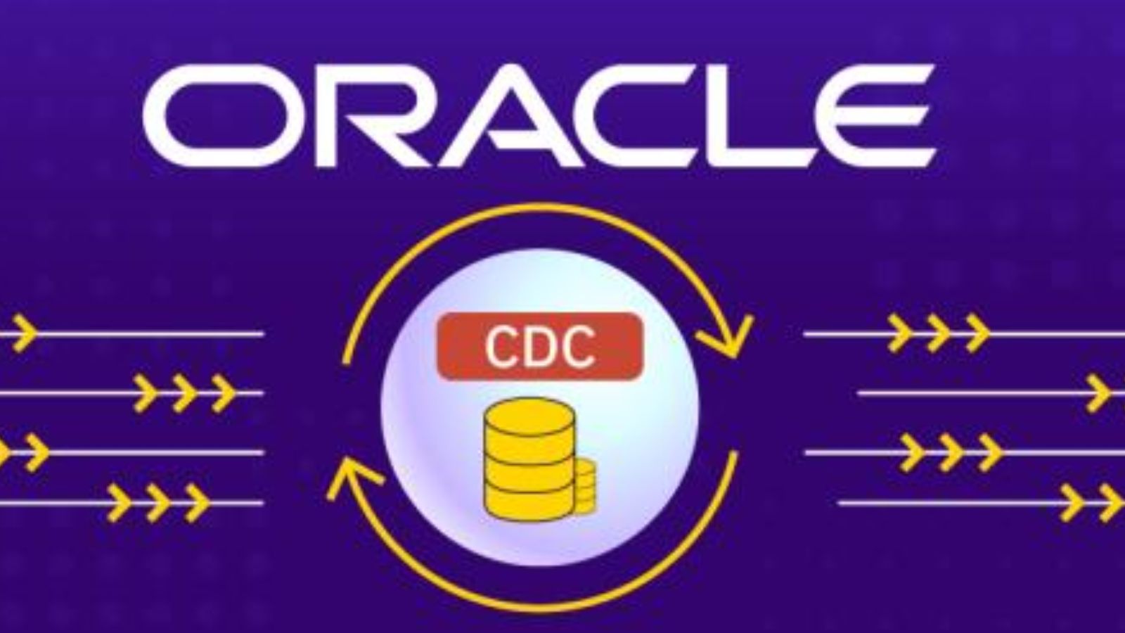 All That You Need To Know About Oracle Change Data Capture (CDC) - Program Geeks